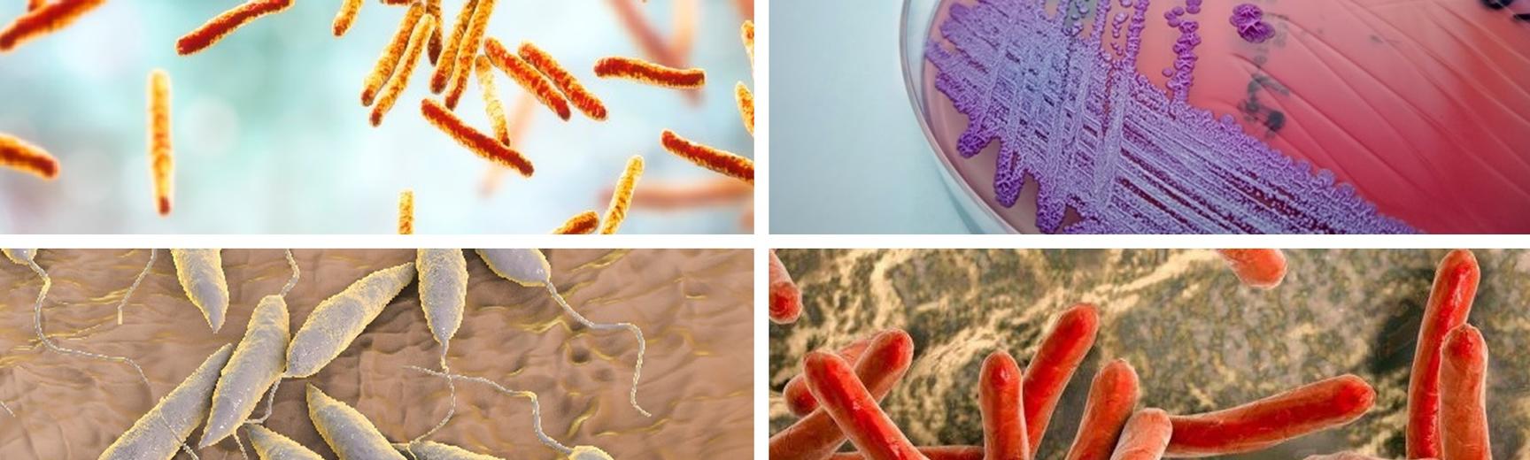 Home | The VALIDATE Network