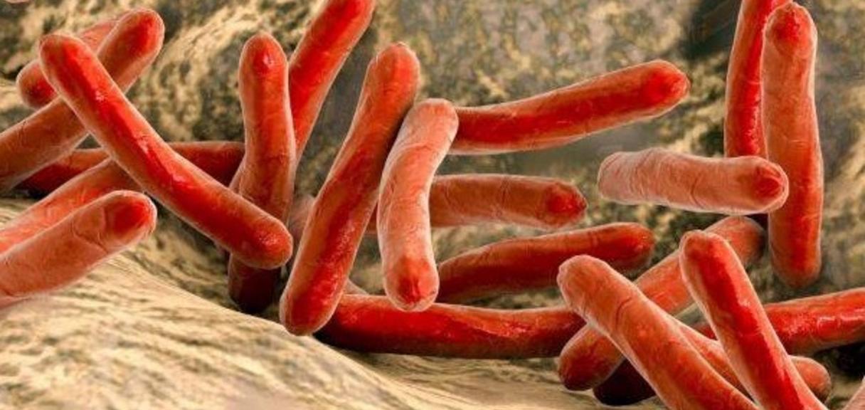 Home | The VALIDATE Network