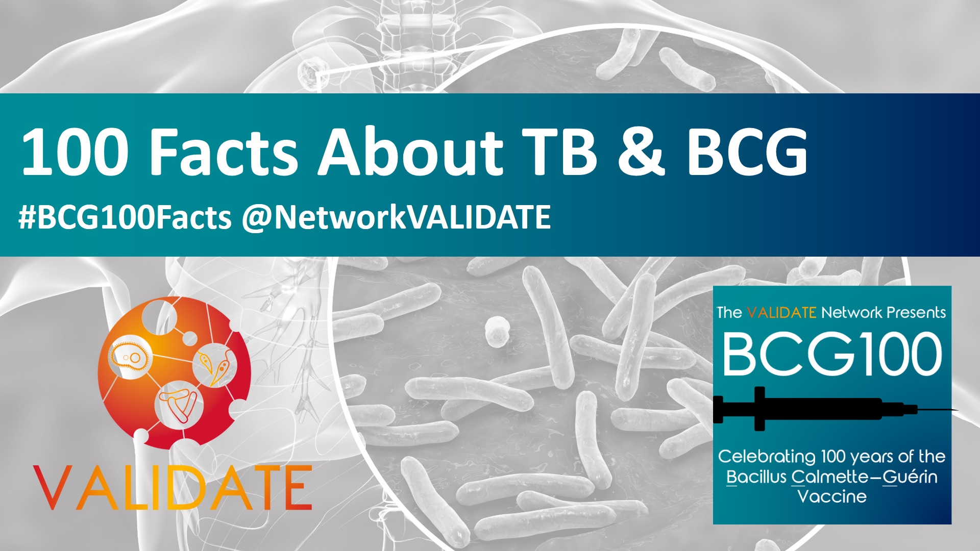 100 Facts about TB and BCG | The VALIDATE Network