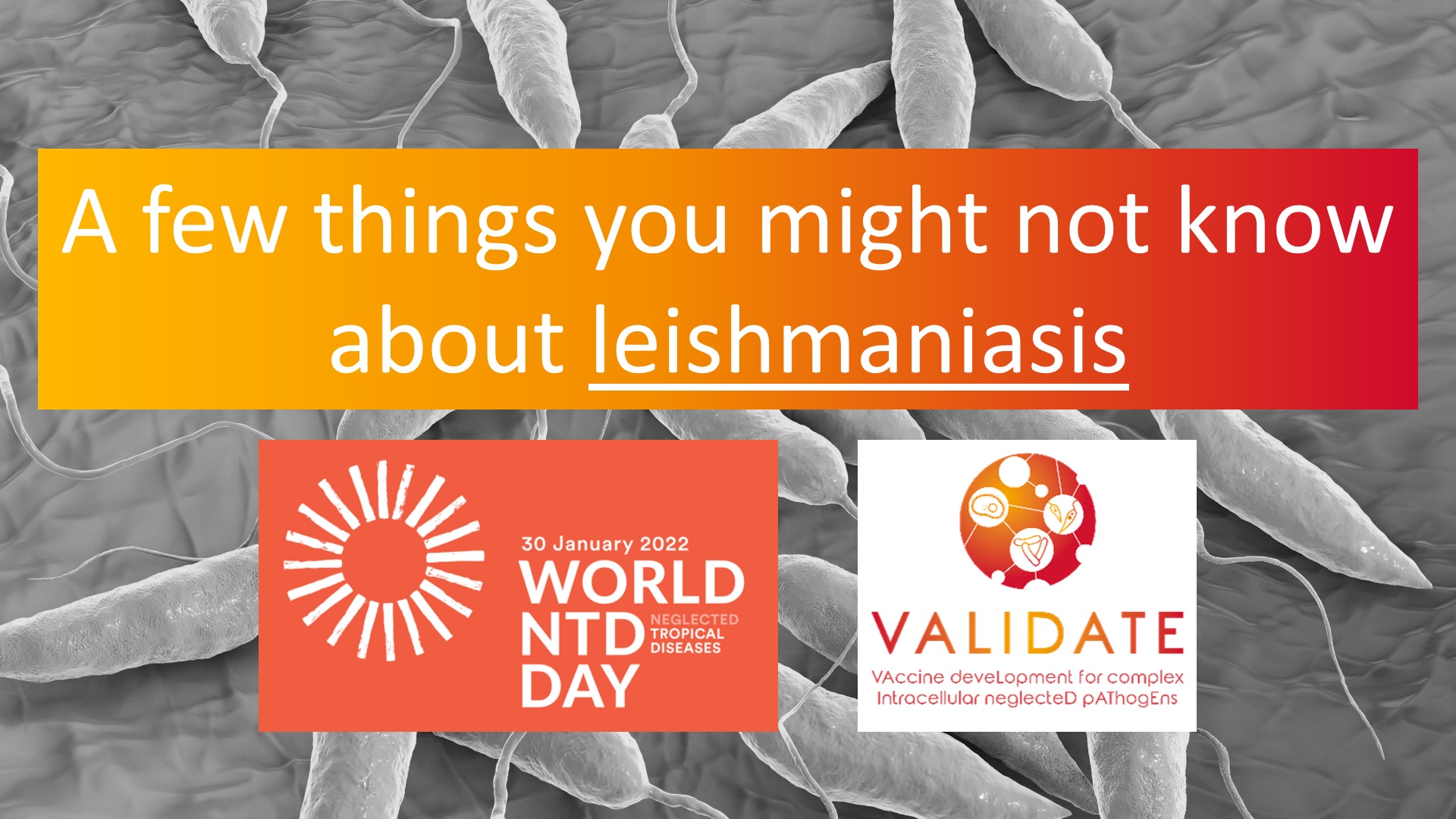 Weekly round-up #202 | The VALIDATE Network