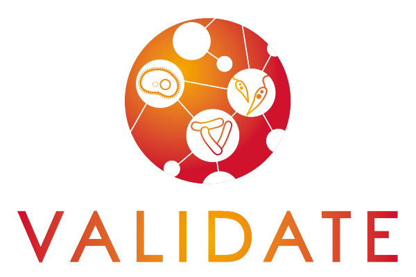 VALID8? Launches | The VALIDATE Network