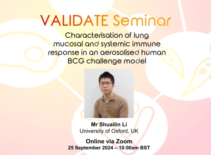 Characterisation of lung mucosal and systemic immune response in an aerosolised human BCG ...