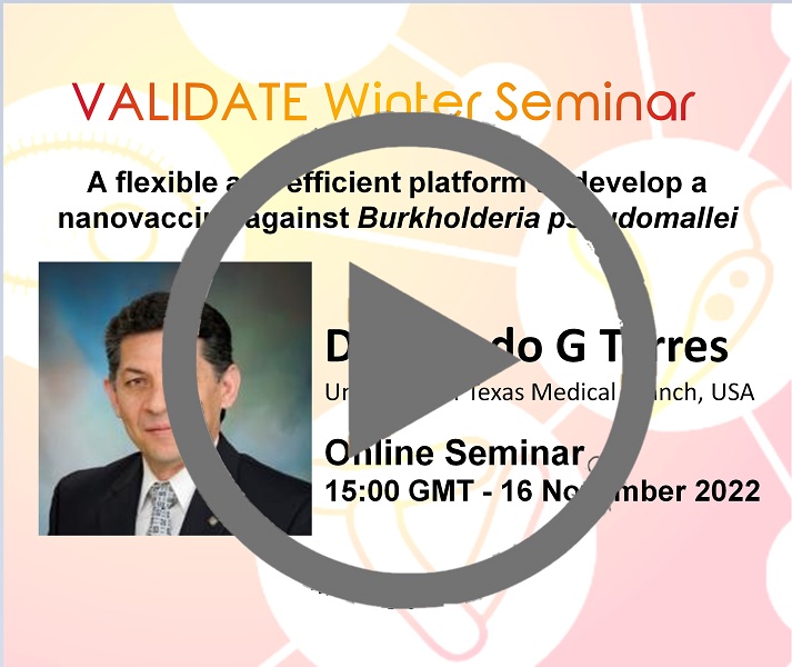 VALIDATE Winter Seminar: A flexible and efficient platform to develop a nanovaccine against ...