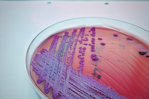 Melioidosis | The VALIDATE Network