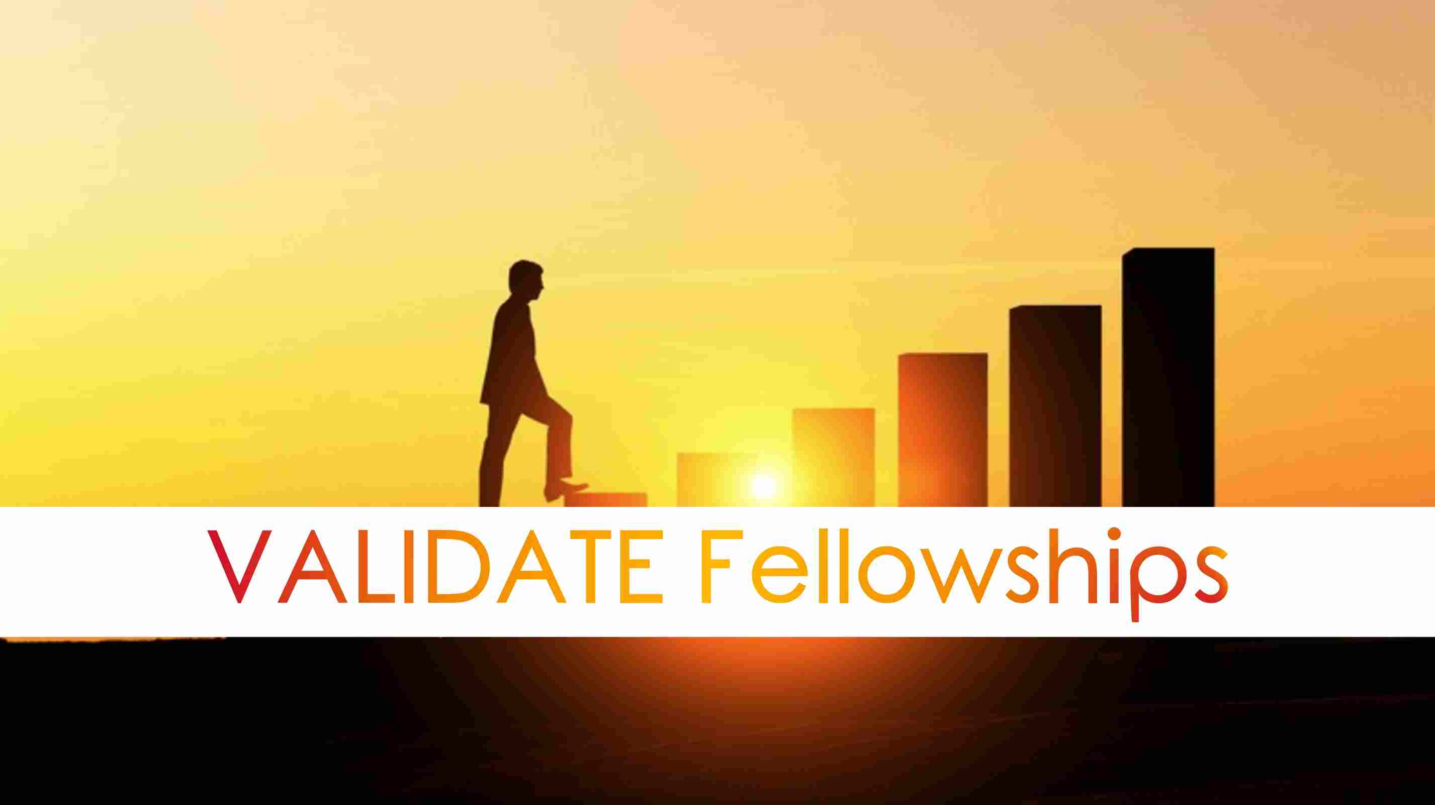 VALIDATE Fellowships | The VALIDATE Network