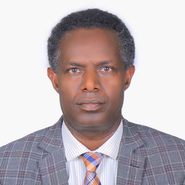 Gizachew Akalu | The VALIDATE Network