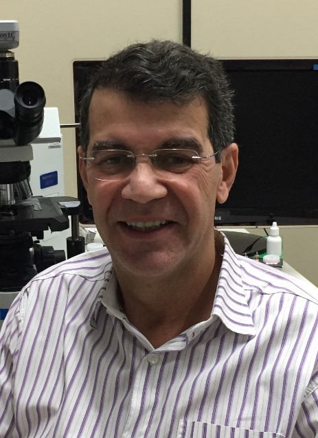 Luiz Freitas | The VALIDATE Network